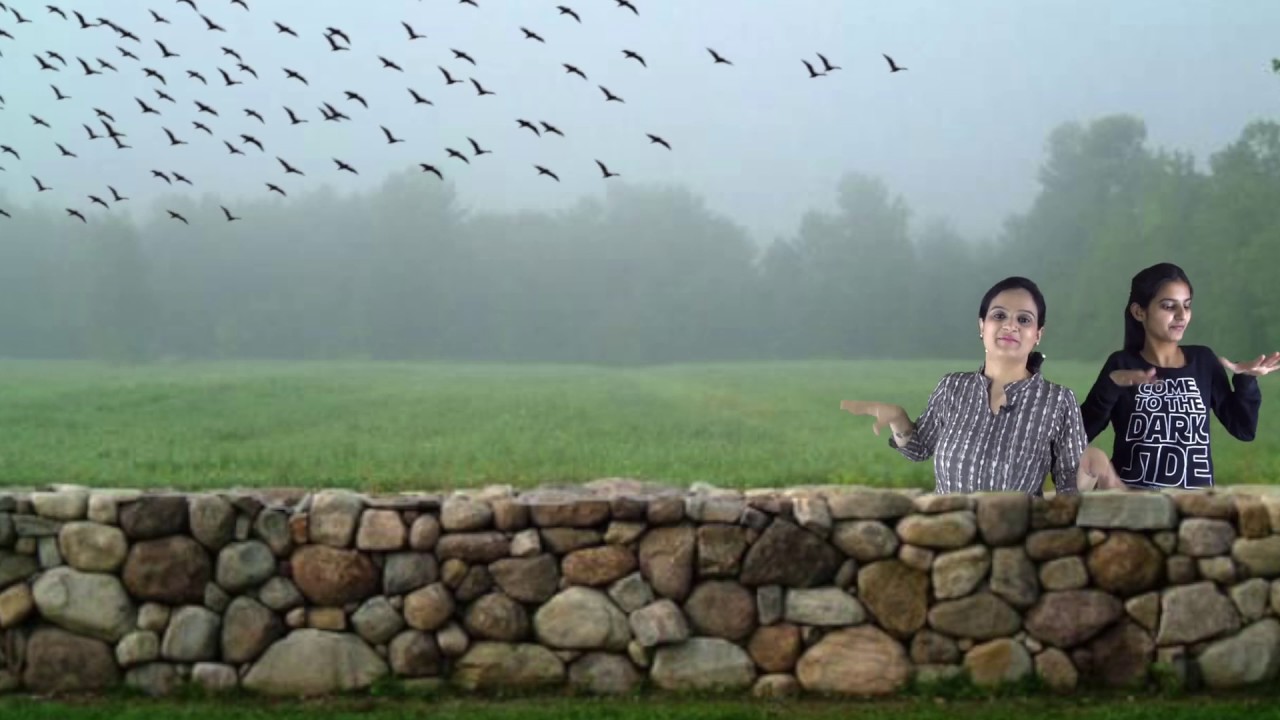 Meaning Of Flapping - YouTube