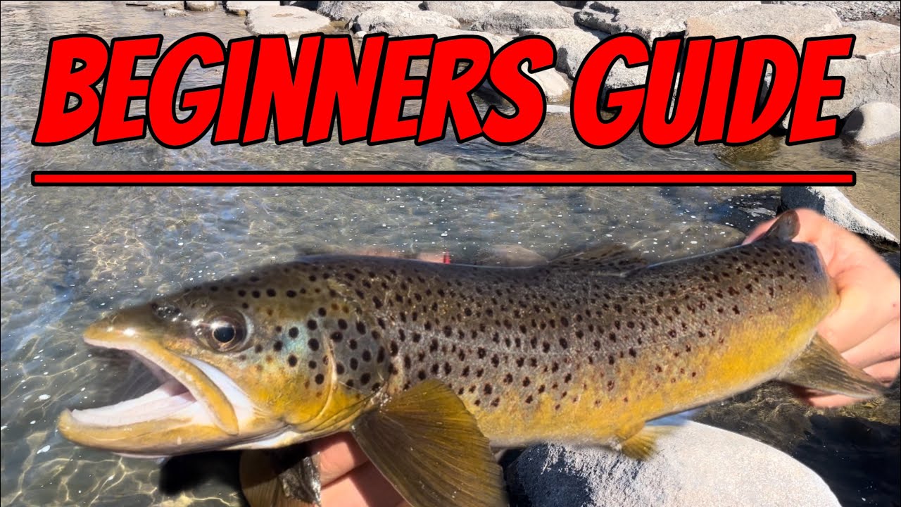 How To Fish Streams: A Beginners Guide To Catching Trout - YouTube