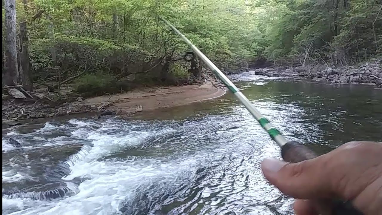 Cherokee national forest creek Fishing - YouTube