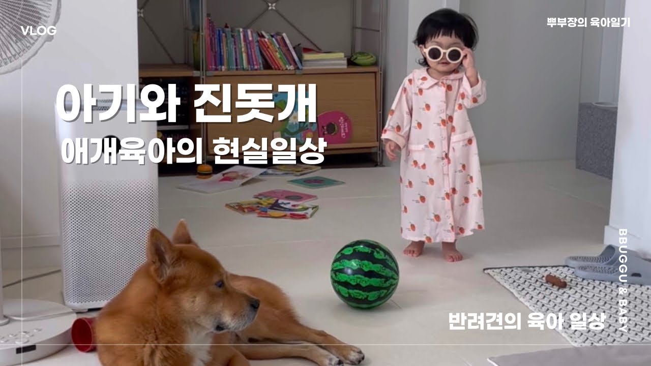 브이로그 I 진돗개와 아기의 귀여운 일상 하지만 쉽지않은 애개육아 I 반려견 14개월아기와 강아지 I 편안한 영상 I 힐링