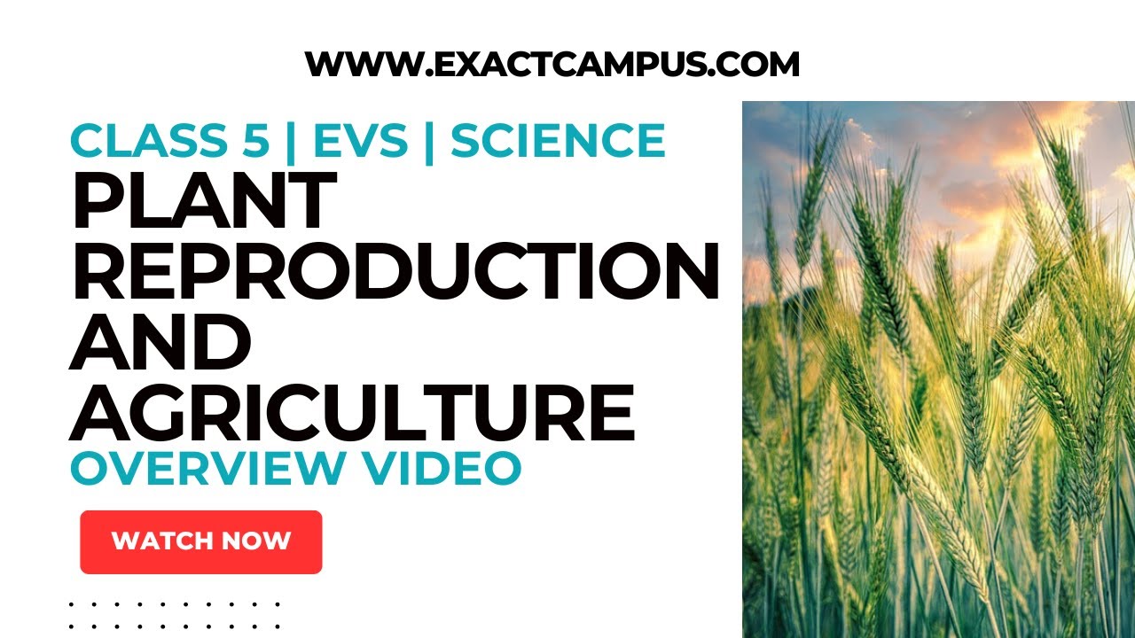 Plant Reproduction and Agriculture | Class 5 Science (EVS) - YouTube