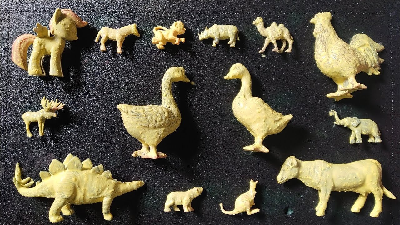 Membersihkan hewan sapi, bebek, angsa, ayam, gajah, simpanse, singa ...