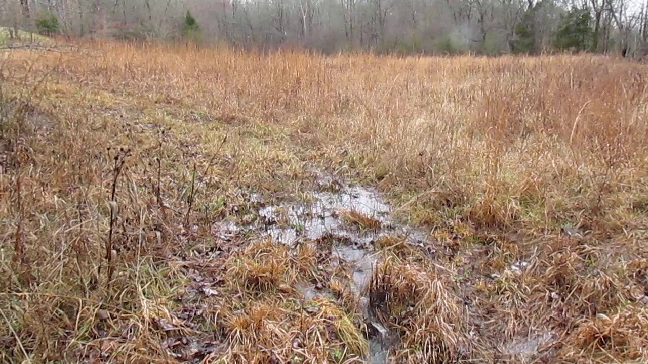 Natural Spring in Mississippi - YouTube