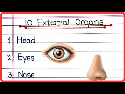 10 External Organs | External Organs | Ten External Organs | External ...