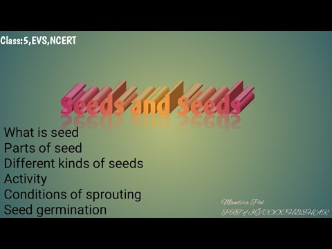 Seeds and Seeds (Lecture:1),Class 5,EVS,NCERT - YouTube