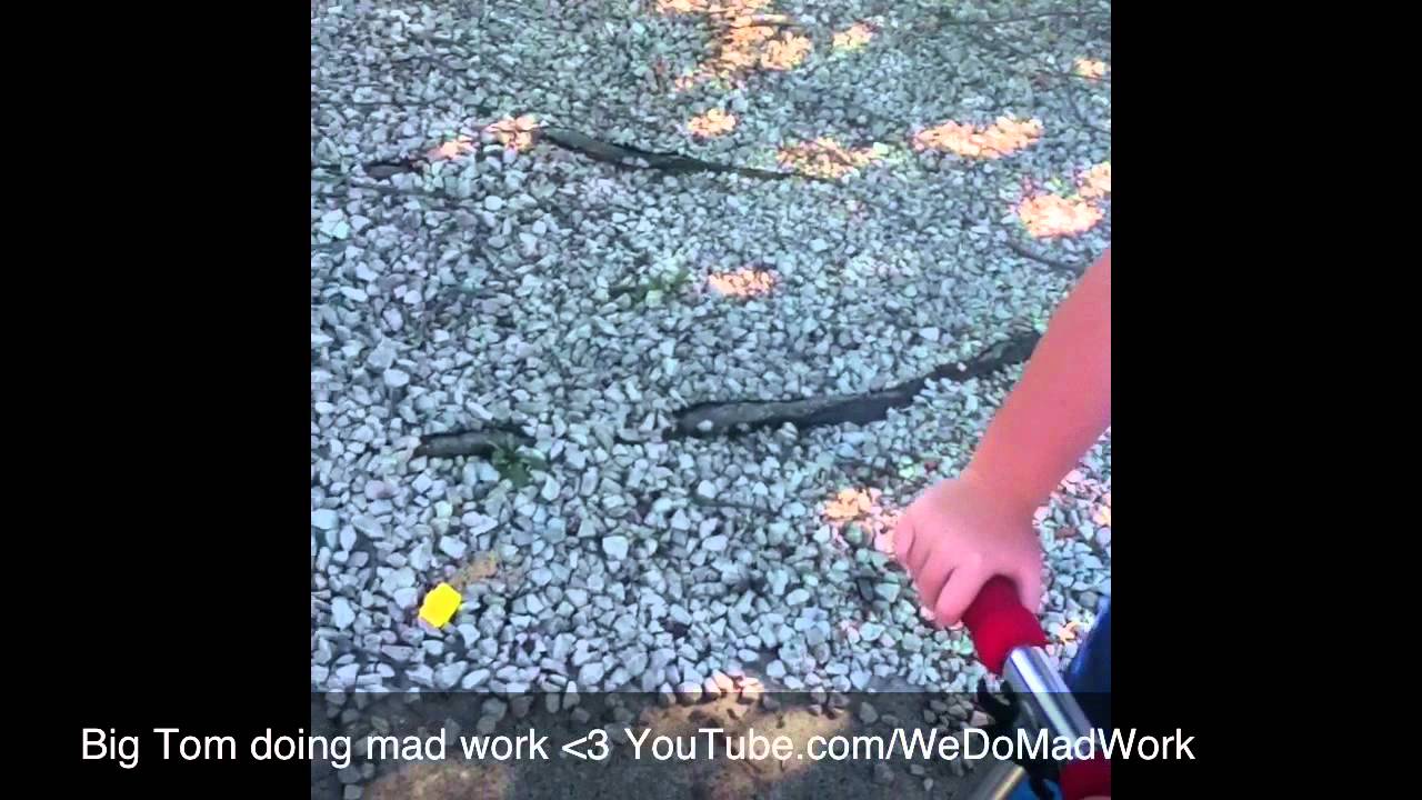 Big Tom doing work - YouTube