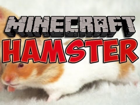 Minecraft Mods | Episode 634 | HAMSTERS | iPodmail | 1.3.2 - YouTube