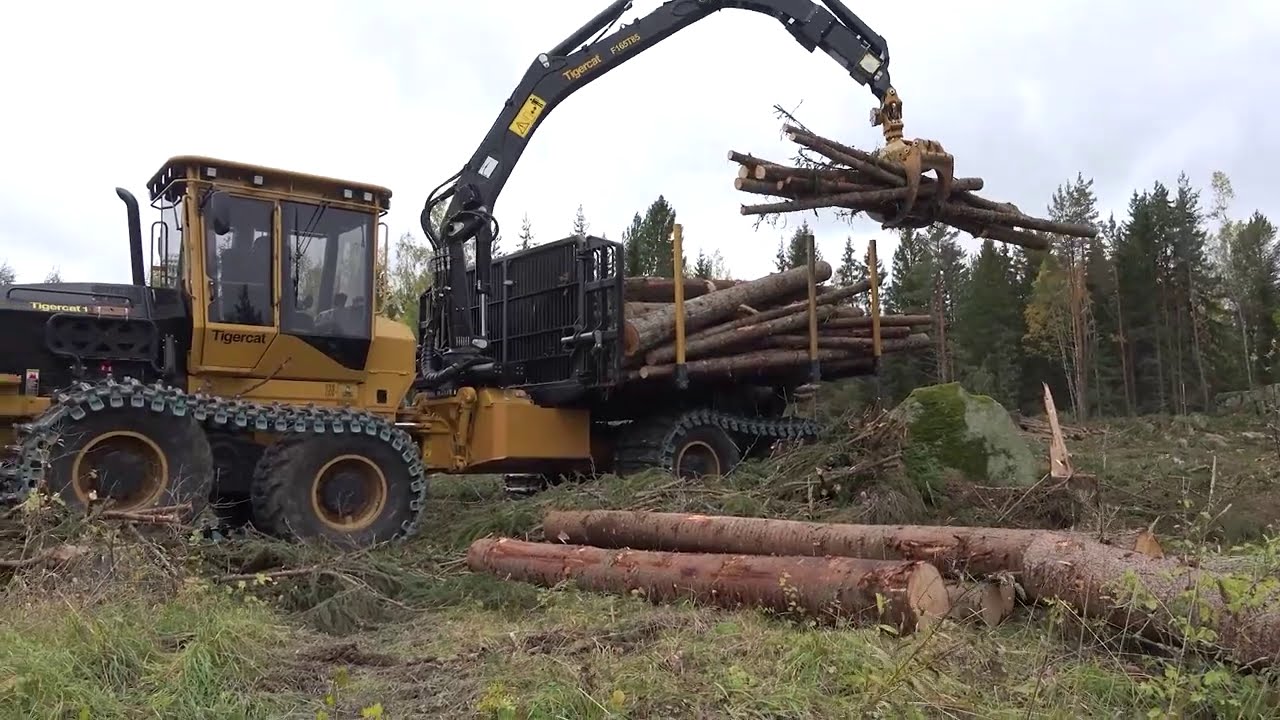 Se upp! Här kommer Tigercat 1075C - YouTube