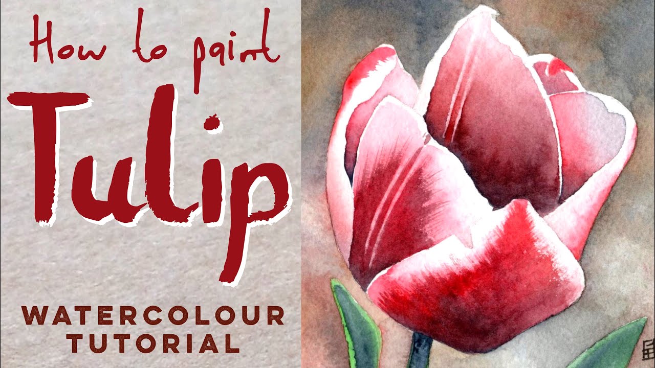 How to paint a Tulip flower - Watercolour Tutorial - YouTube