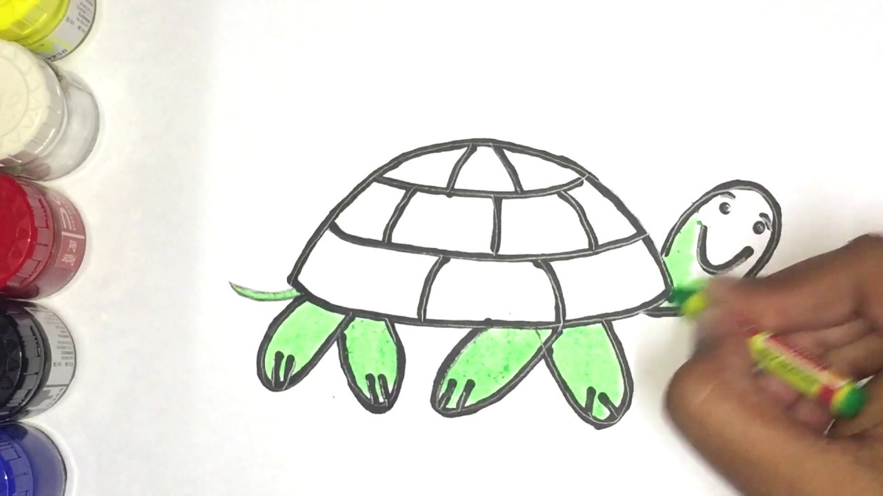 How to draw a tortoise in 4 simple steps | Learn to draw a tortoise for ...