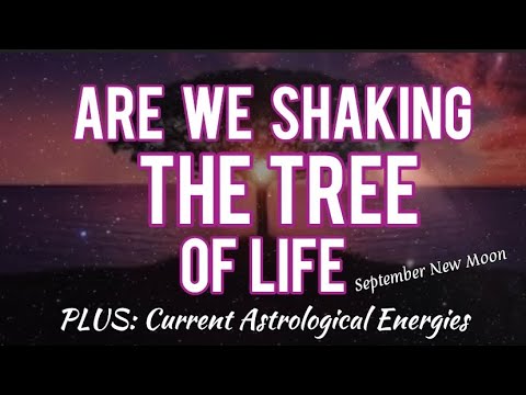 Are We Shaking The Tree Of Life | Plus Current Astrological Energies ...