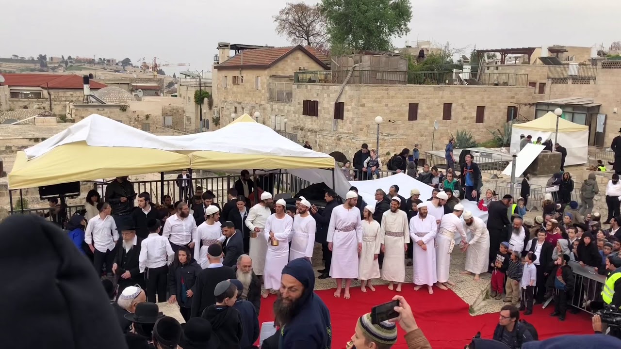 Temple Institute Sacrifice Jerusalem - YouTube
