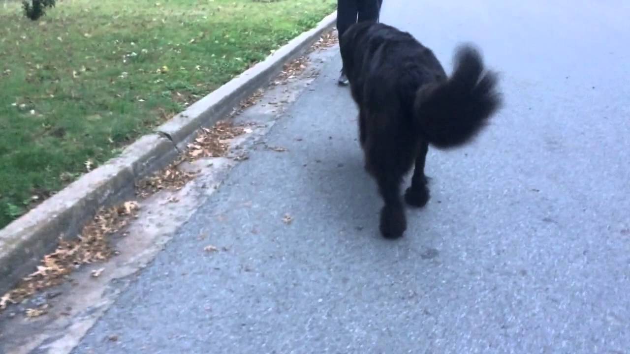 Willis recovery 8 2015 11 05 - YouTube