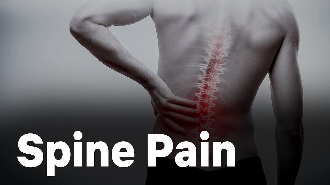 Spine | Back Pain | Neuro Sciences | Graphic Era Hospital | GEIMS ...