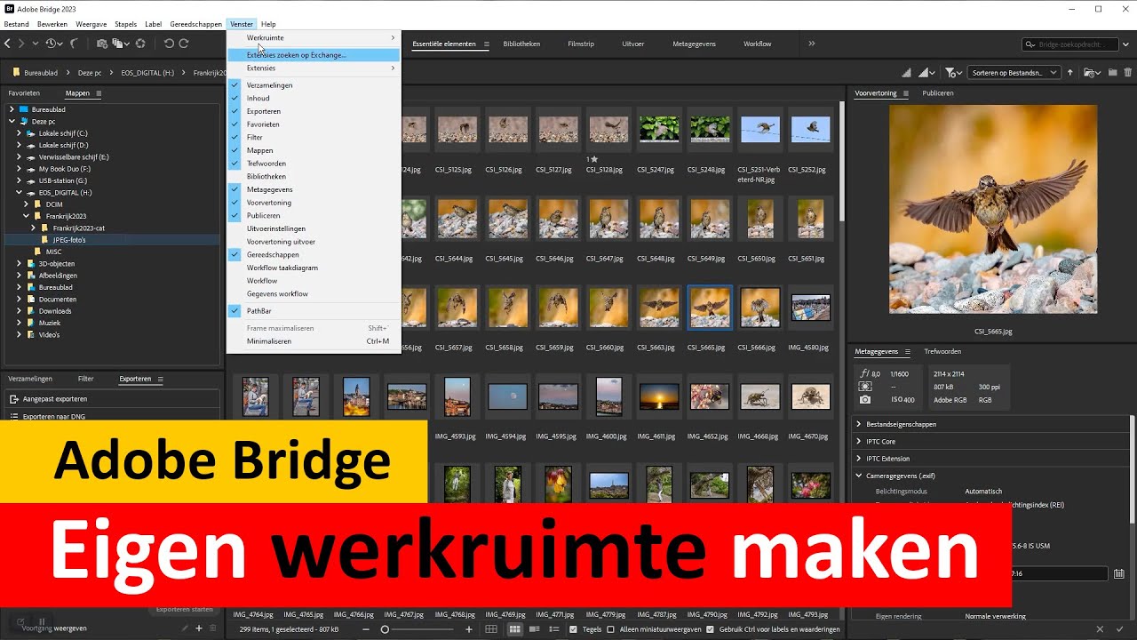 Adobe Bridge | Kennismaking | Eigen werkruimte maken (Dutch) - YouTube