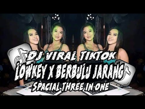 DJ VIRAL TIKTOK THREE IN ONE !!! LOWKEY X BERBULU JARANG FULL BASS TERBARU 2024