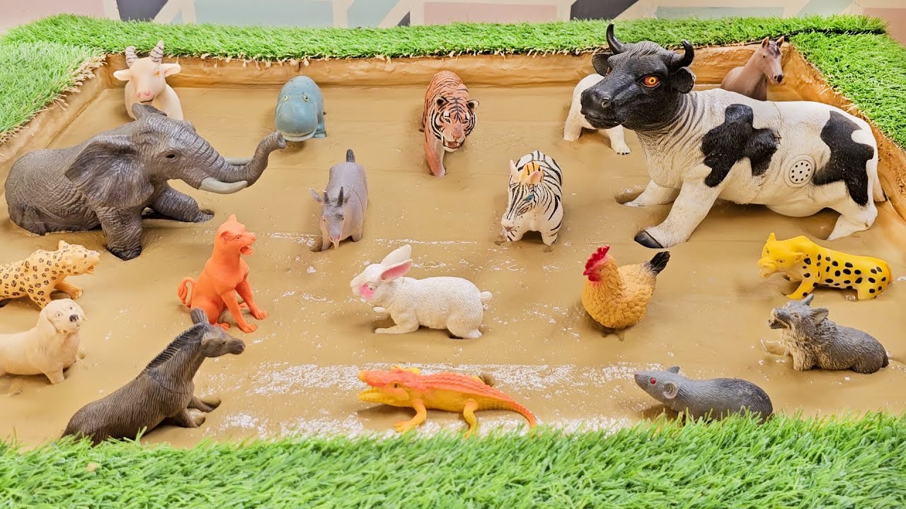 Cute and Cuddly: Farm Animals Jungle Animals Hunt and Rescues! - YouTube