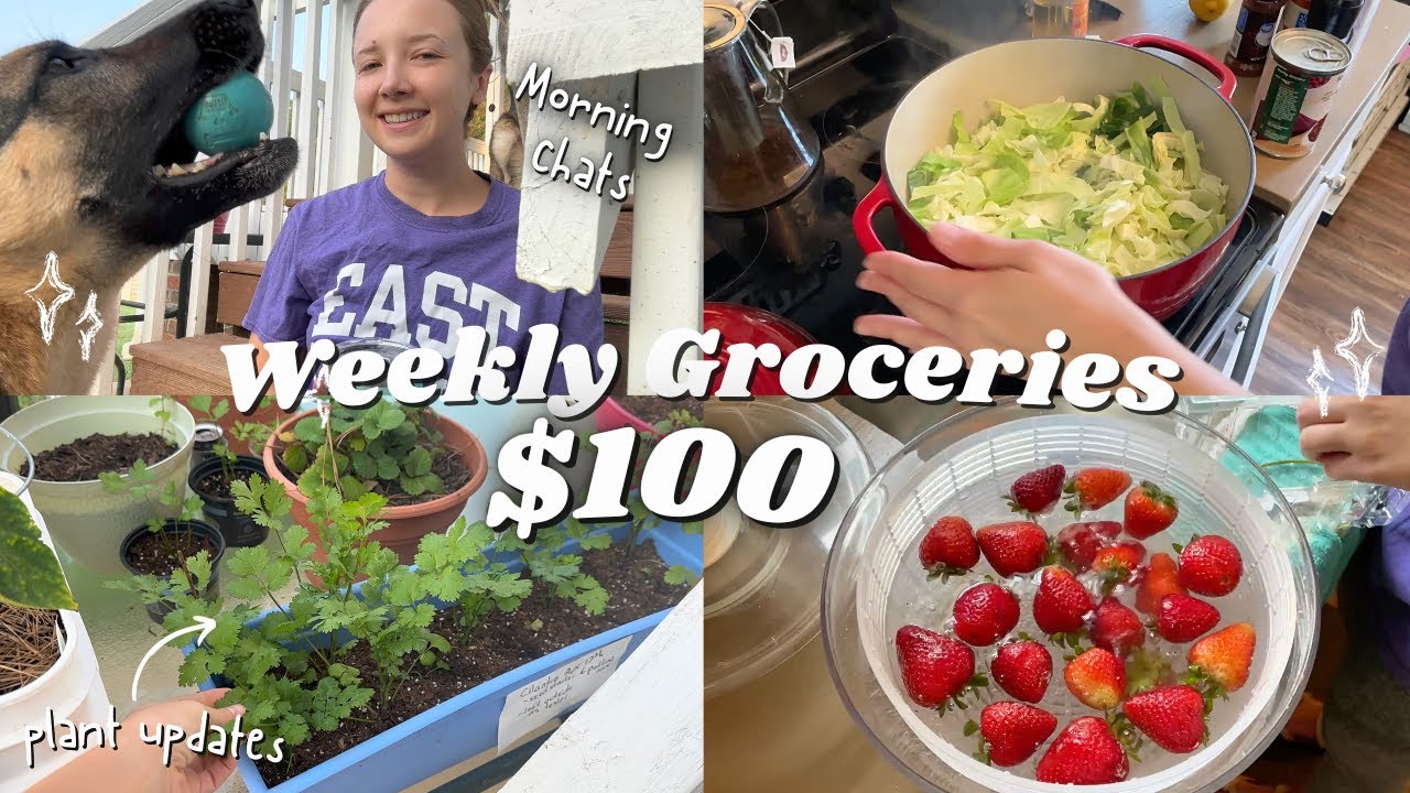 weekly meal prep + reminiscing about my past job ☀️💖 - YouTube