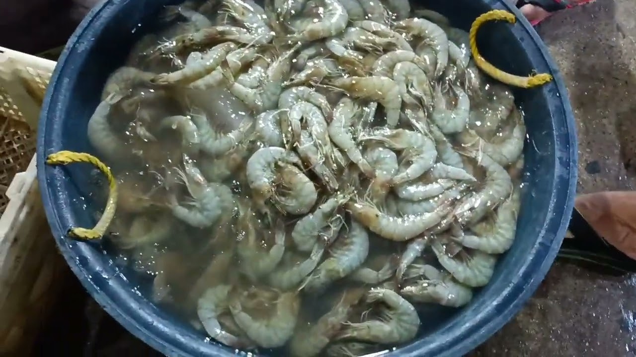 A Trip to Rosario Cavite Fish Port BULUNGAN - YouTube
