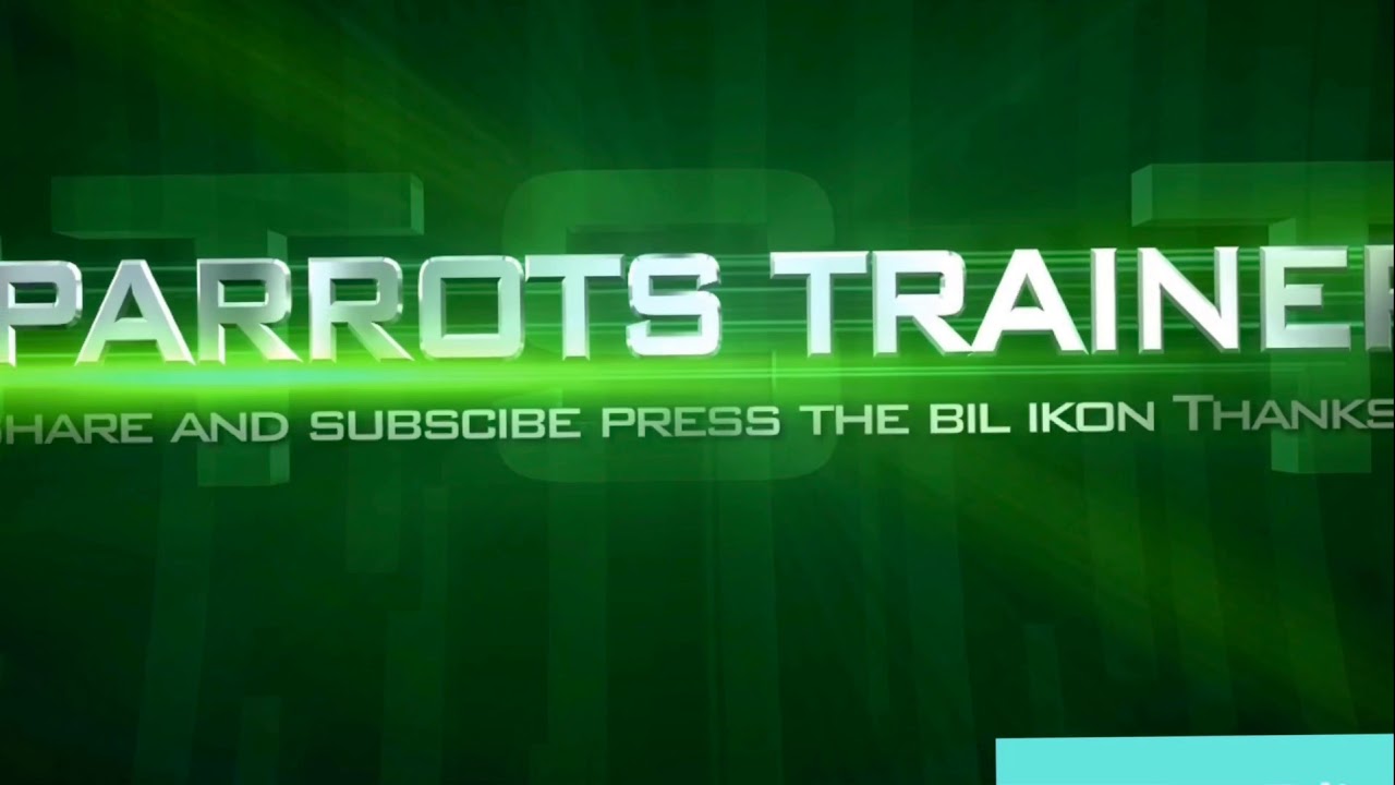 How to train your parrot to target training PARROT TRAINER - YouTube