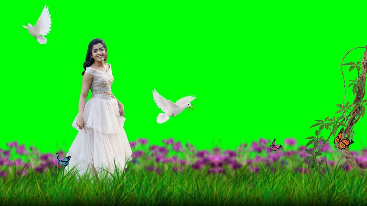 New Trending Green Screen Background Video | Beautiful cute girl green ...
