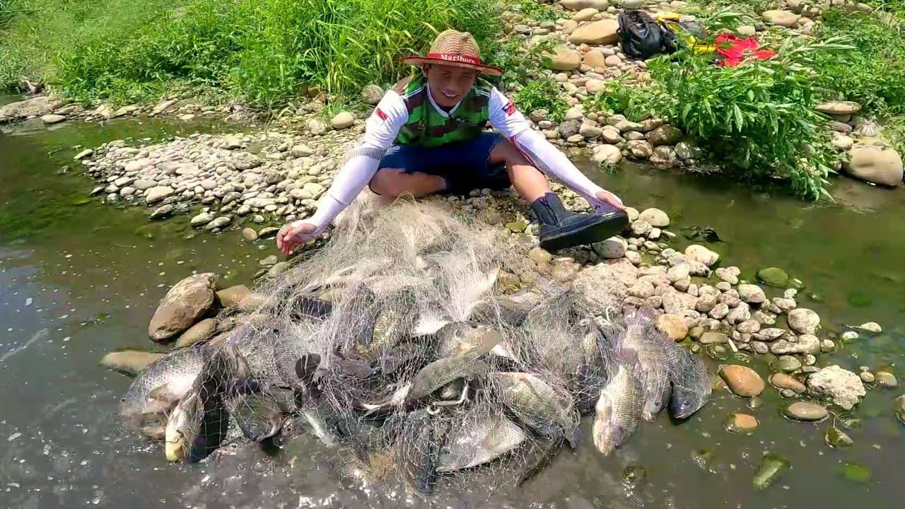jala ikan sekali tebar bisa sebanyak ini..😱 cuma sungai dangkal begini ...