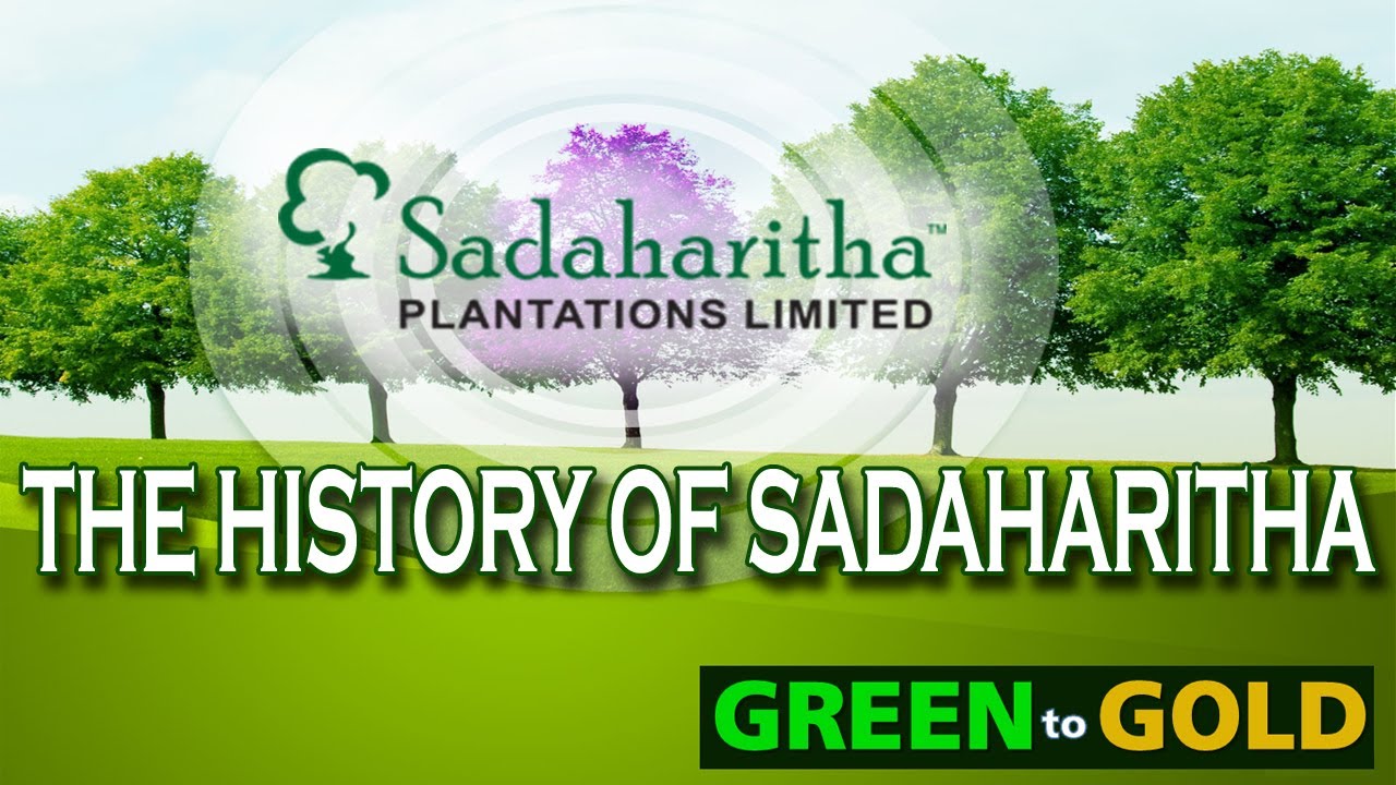 History of Sadaharitha Plantations & our Products - YouTube