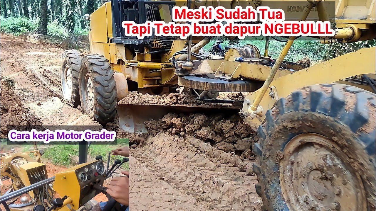 Cara kerja Operator Motor Grader saat perbaikan jalan di perkebunan ...