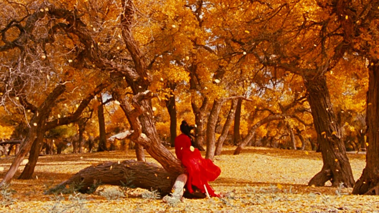 The Cinematography of Hero (2002) - YouTube