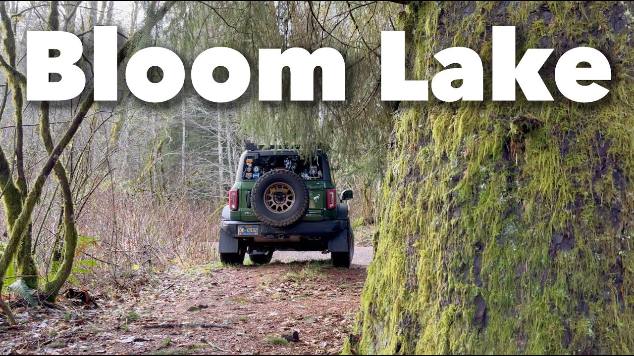 Bloom Lake - YouTube