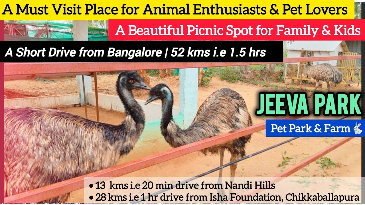One Day Outing from Bangalore to Jeeva Park, a Pet Park & Farm near ...