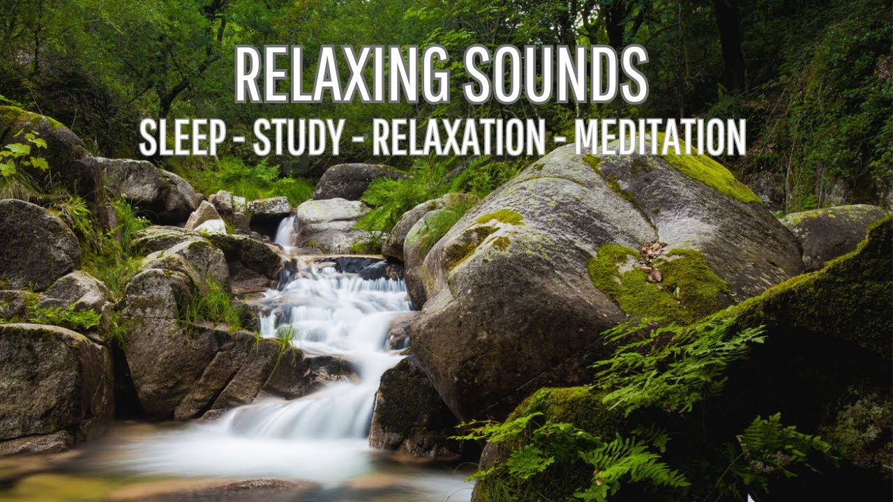Dreamy Reverie Sleeping Nature | Relaxing Stream Sounds No birds ...