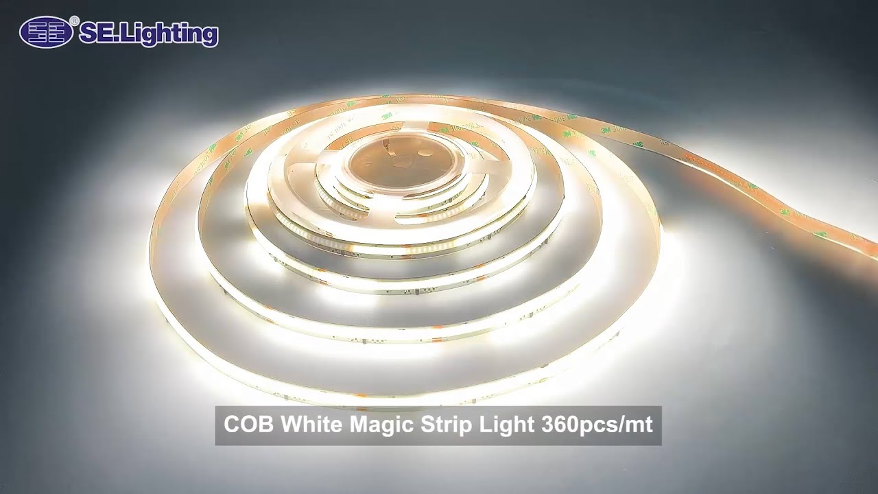 Magic Dream White Smart LED Strip Light 360pcs 24V Flowing Chasing ...