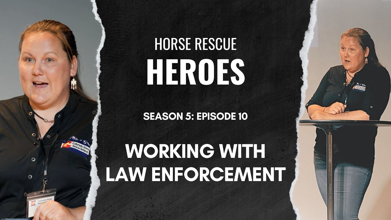 Working with Law Enforcement | Horse Rescue Heroes S5E10 - YouTube
