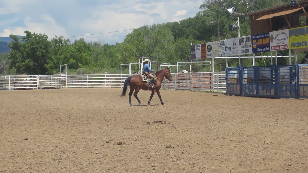 Jameson - Ranch Riding - Collbran Ranch Show (7-8-17) - YouTube