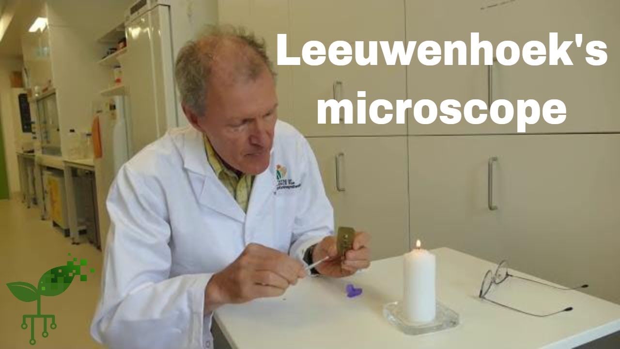 Leeuwenhoek's microscope | Microscopes and cell theory | meriSTEM - YouTube