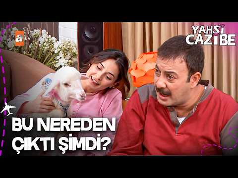 Cazibe kuzuya kıyamadı😅 - Yahşi Cazibe 18. Bölüm