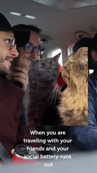 POV: when you are in a trip with guys and your social battery runs out - YouTube