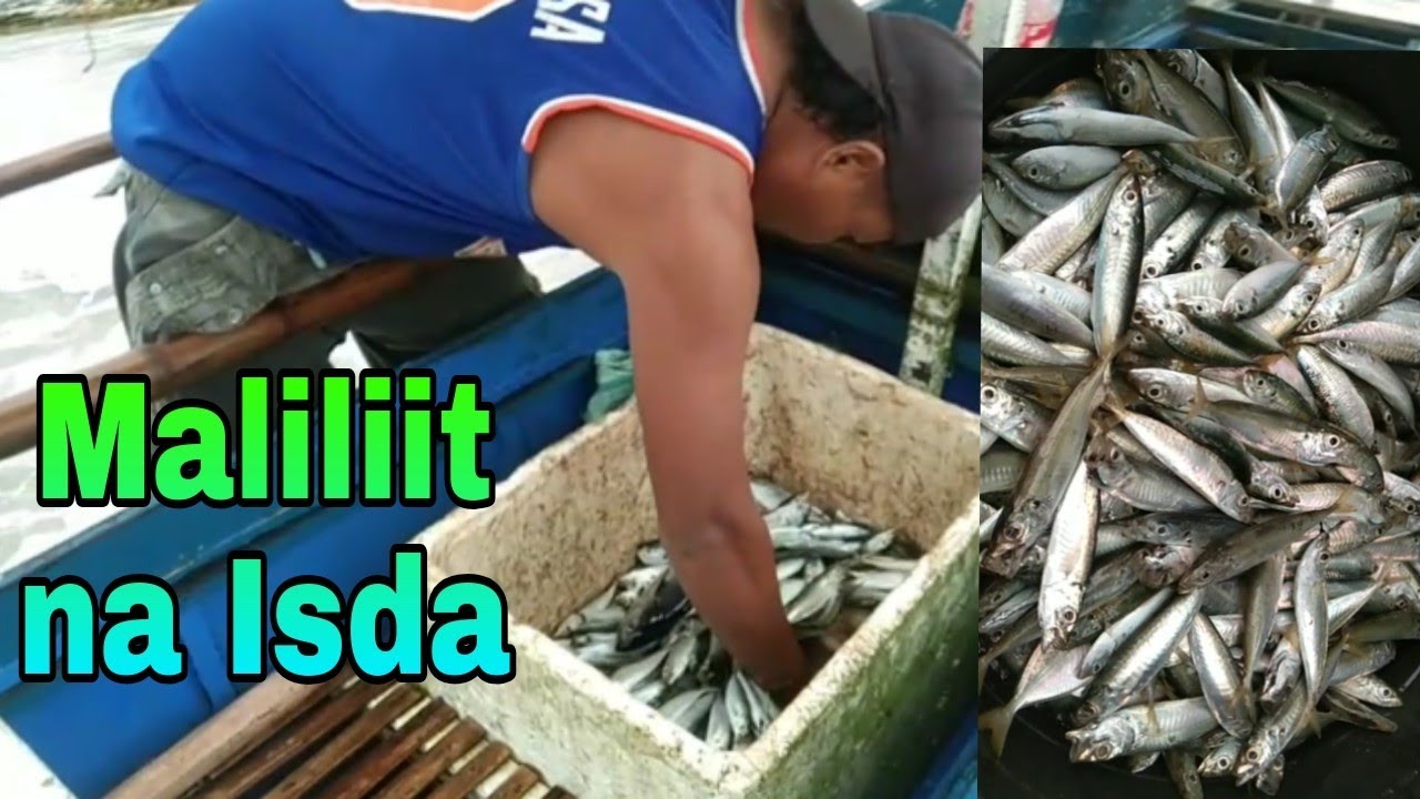 Maliliit na isda Part 1 - YouTube