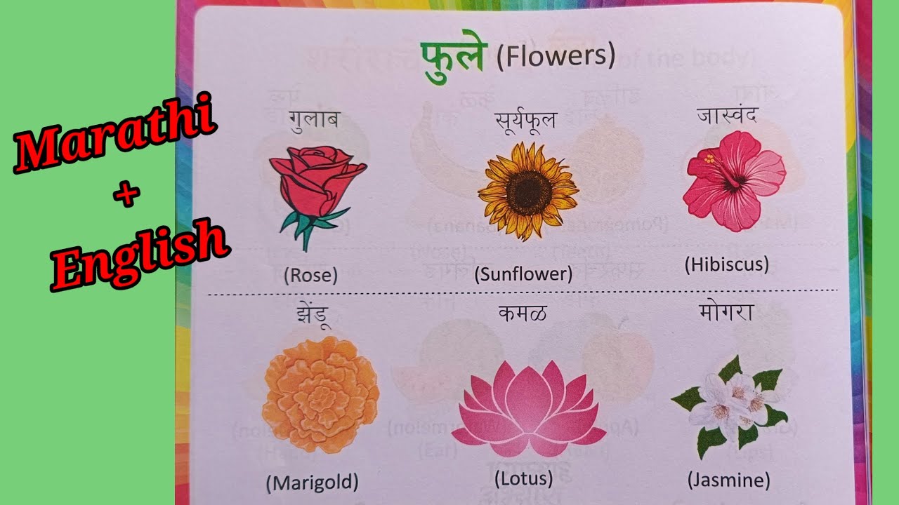 Flowers Name In Marathi Set Of 2 Flowers And Marathi Varnamala