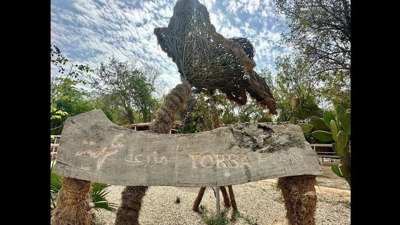 Visiting TORBA FARM - YouTube