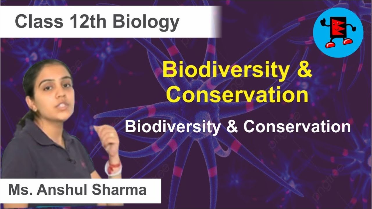 CBSE Class 12 Biology Biodiversity & Conservation Biodiversity ...