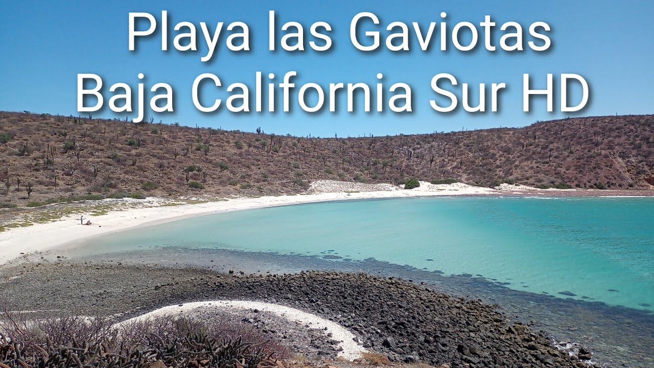 Playa Las Gaviotas, el PARAÍSO oculto que debes conocer en La Paz Baja ...