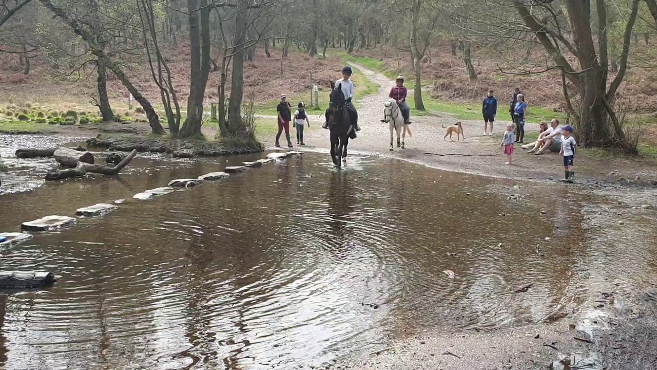 Middleton Riding School - Hacking day out with Carrie and Leah - YouTube