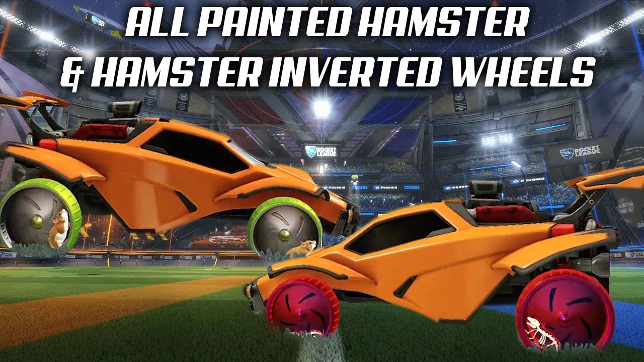 All Painted Hamster & Hamster Inverted Wheels (NEW Rocket Pass ...