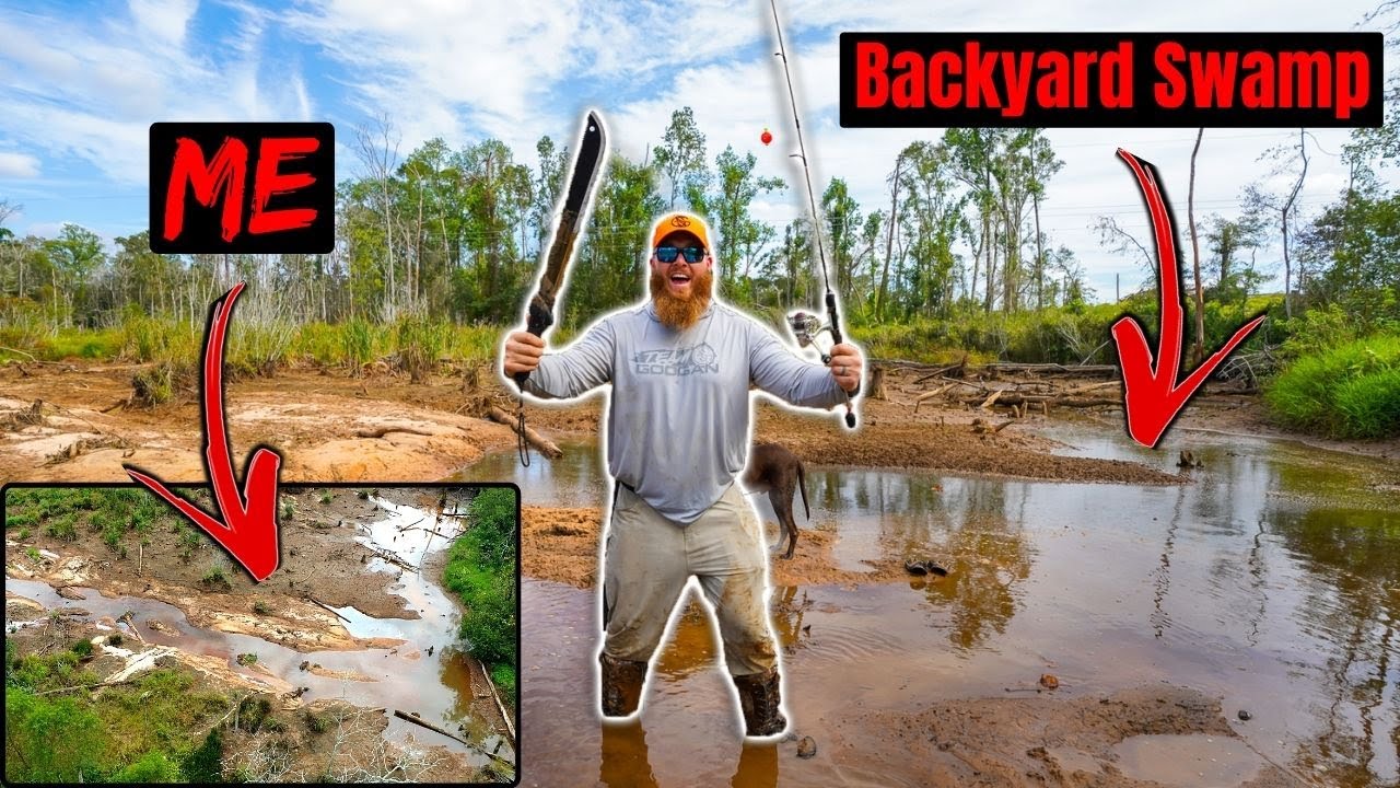 Fishing and Exploring My Backyard SWAMP (LOADED w/ Fish!!!) - YouTube