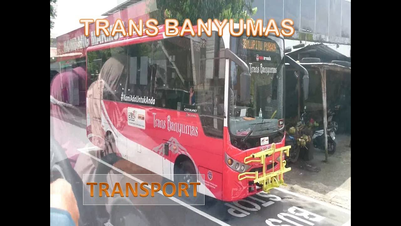 Review Bus Teman Kita Bus Trans Banyumas - YouTube