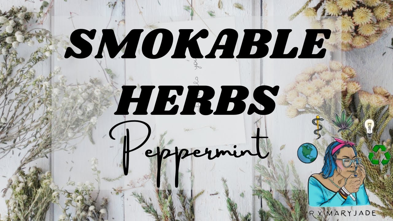 How To Smoke Peppermint Taste & Feel || A Beginners Guide To Smokable ...