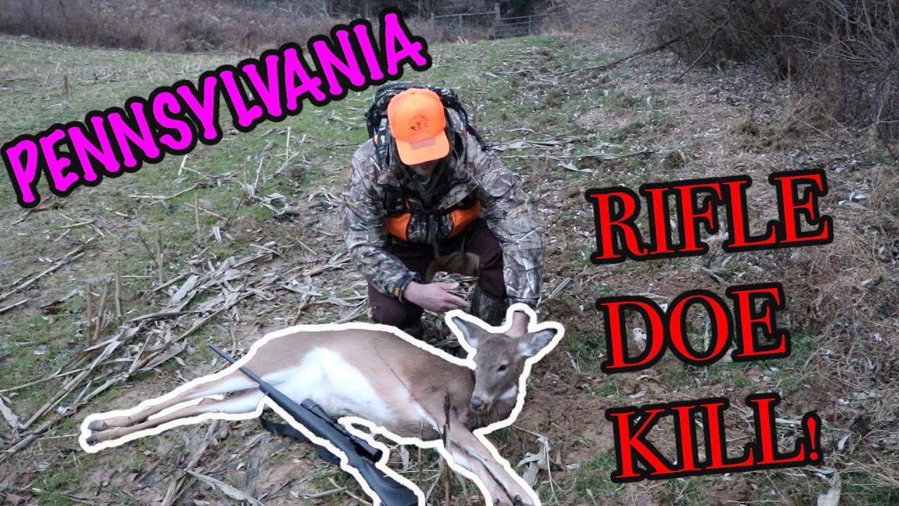 2022 PENNSYLVANIA Rifle DOE KILL! - YouTube