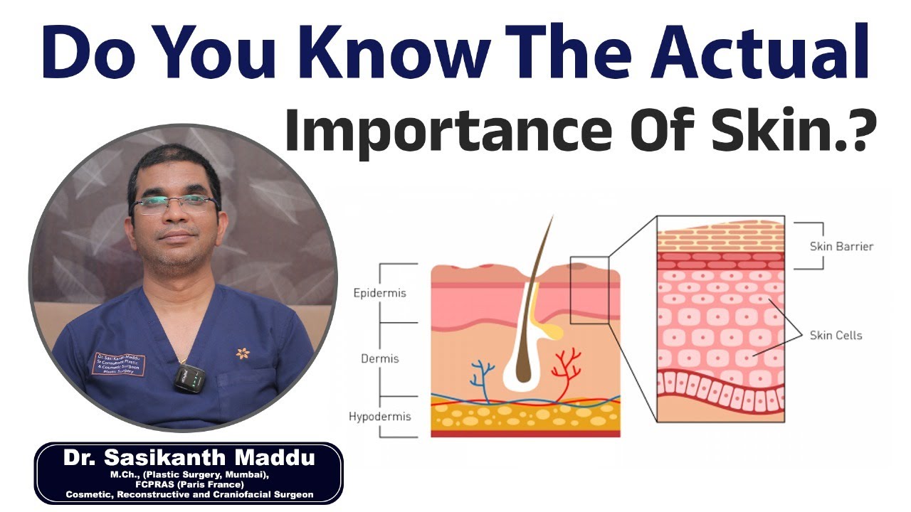 Importance of SKIN || What is the Structure of the SKIN? || Dr ...